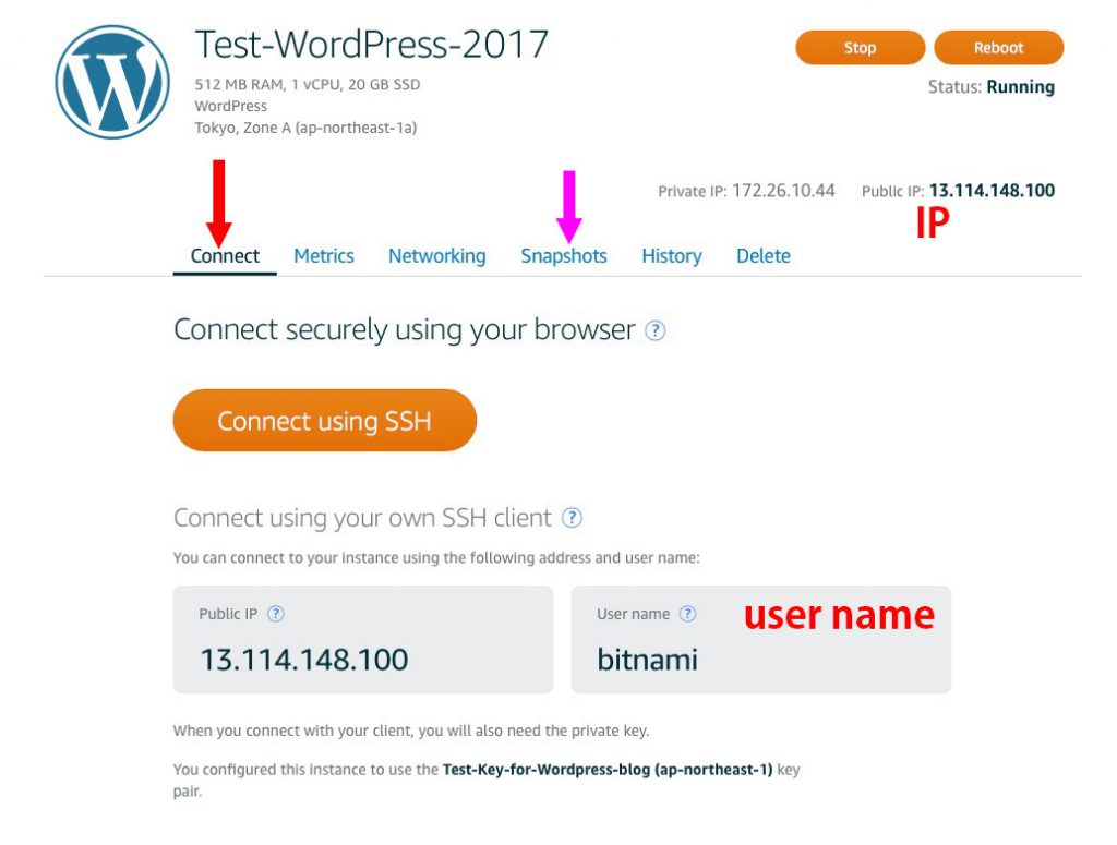 아마존 라이트세일에 Wordpress 설치하기 Aws Lightsail 워드프레스 블로그 설치방법 홈페이지 쇼핑몰 제작