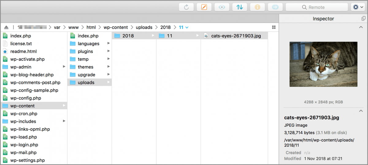 워드프레스 사용을 위한 Php 모듈 익스텐션 설치하기 스위프트코딩